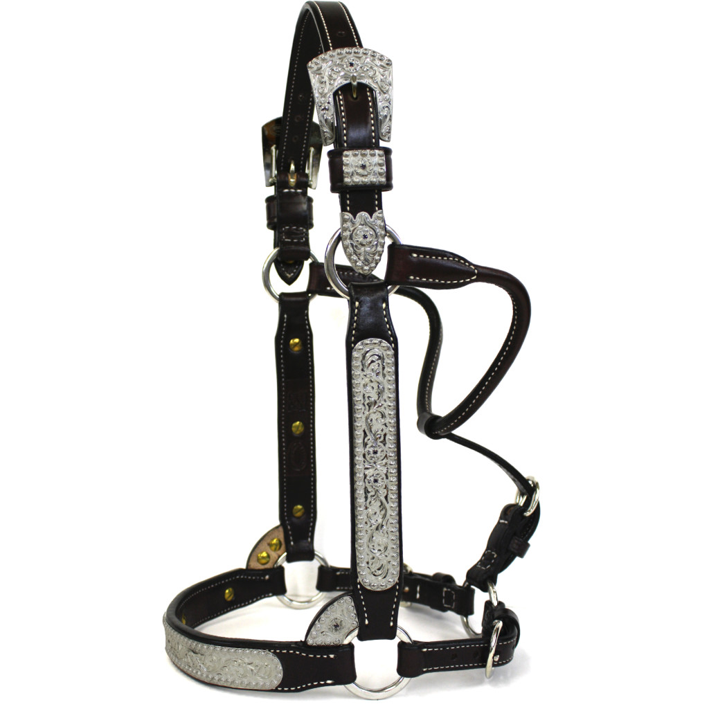 Custom Halters – Harris Leather & Silverworks | Legendary Handmade ...